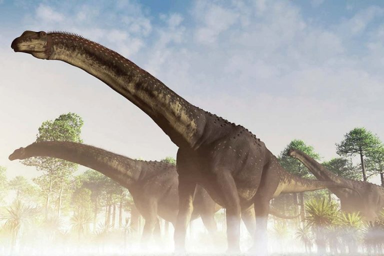 From Argentina highlight the biggest creature ever on record, Dinosaur ... From Argentina highlight the biggest creature ever on record, Dinosaur ...